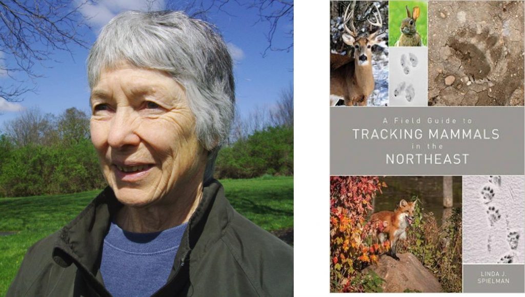 Prints in Print | Swenson Book Development