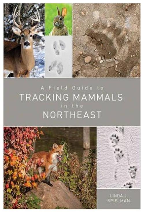 Q & A with Tracker, Naturalist, and Author Linda J. Spielman | Swenson ...